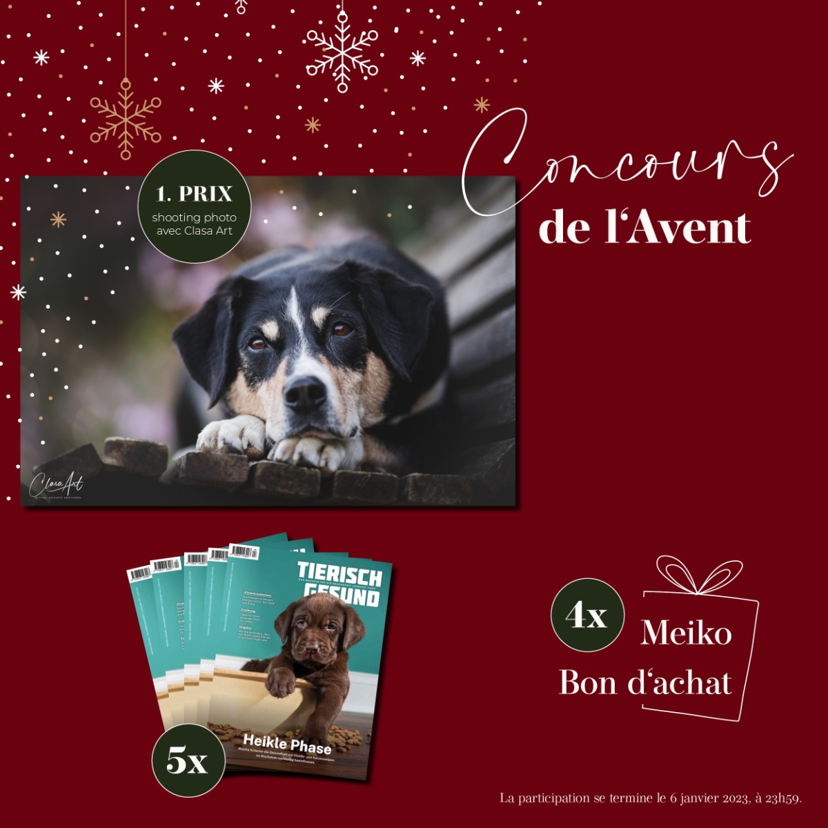 Concours MEIKO Gagnez Une S ance Photo Avec Clasa Art Des Bons D concours-meiko-gagnez-une-s-ance-photo-avec-clasa-art-des-bons-d